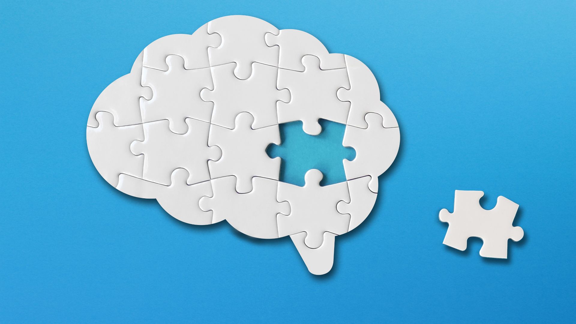 Understanding the Teenage Brain | Distinction Solutions